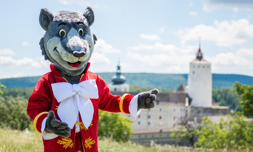 Esterhazy | Esterhazy Kids